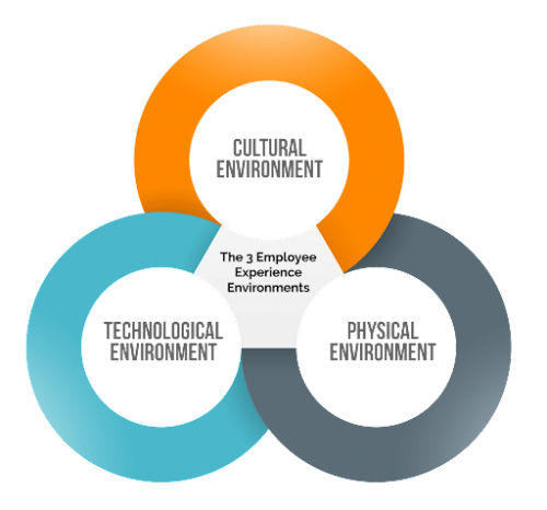 How to create a positive employee experience with an LMS?